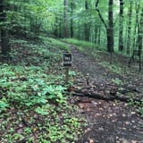Avalon Loop Trail, Maryland - 293 Reviews, Map | AllTrails