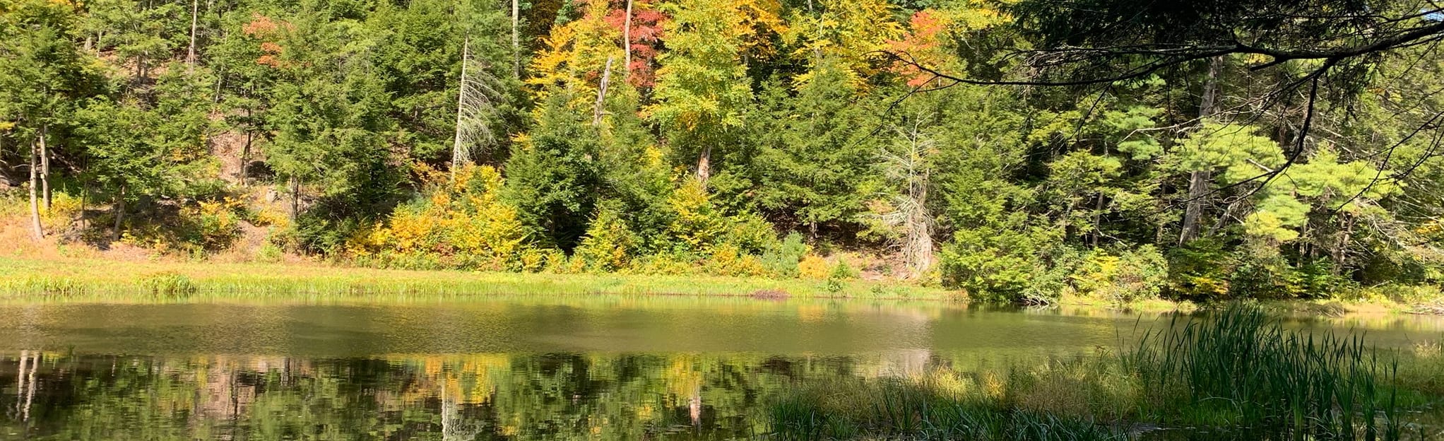 Tunxis Trail via Farmington River Turnpike [CLOSED]: 81 Reviews, Map ...