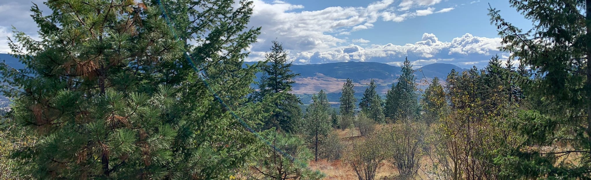 Coyote Ridge Loop: 140 Reviews, Map - British Columbia, Canada | AllTrails