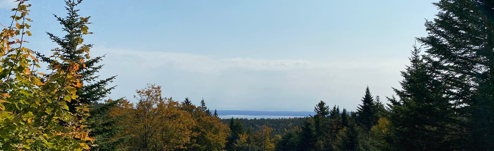 Black Horse Trail - Maple Grove Trail - Orion Trail, New Brunswick ...