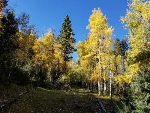 10 Best Trails and Hikes in Angel Fire | AllTrails