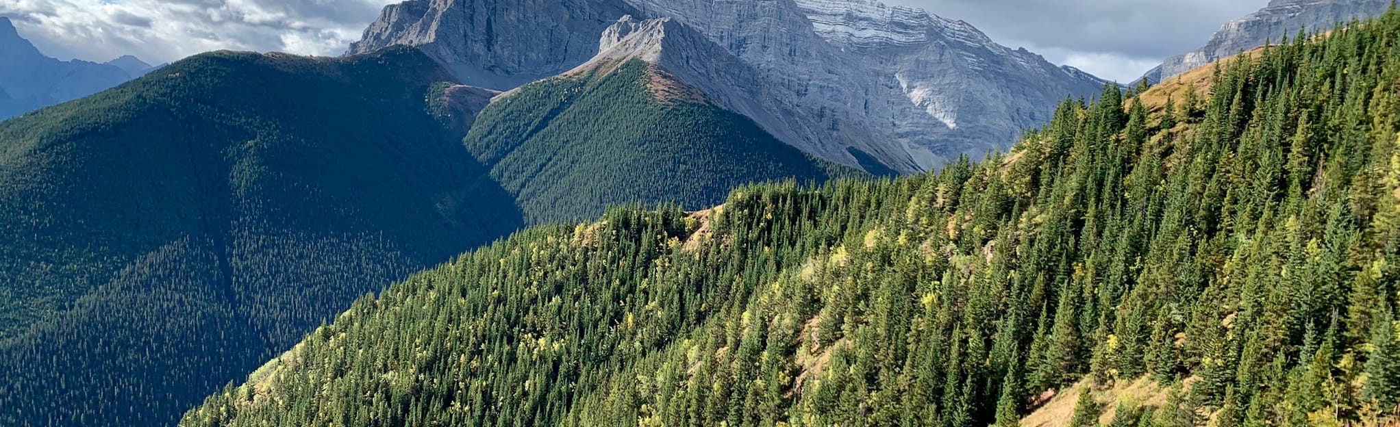 Mount Allan from Ribbon Creek: 707 Reviews, Map - Alberta, Canada ...