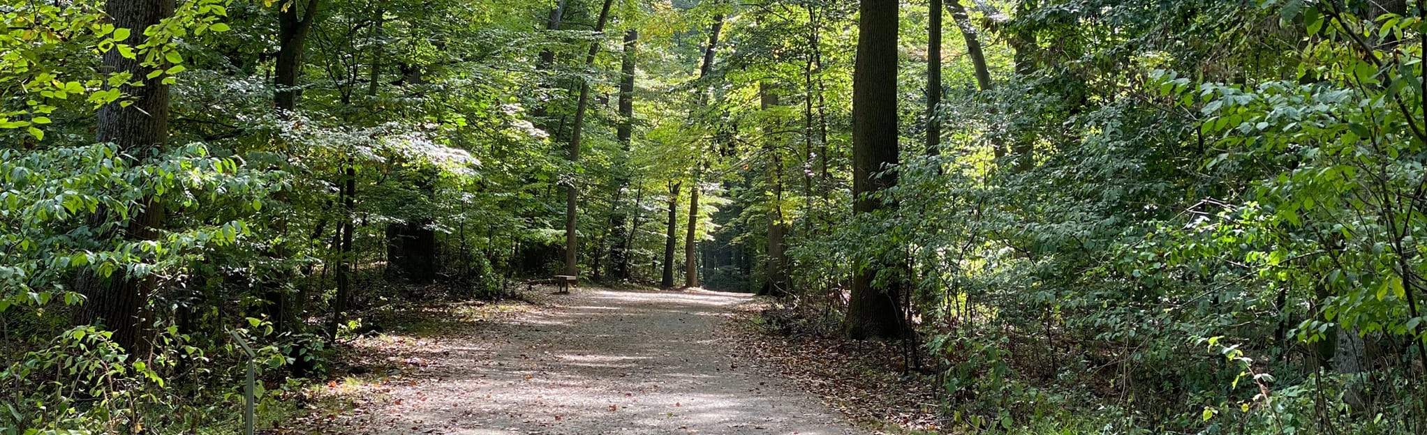 Tallman Mountain Hudson River Overlook Trail, New York - 1,551 Reviews ...