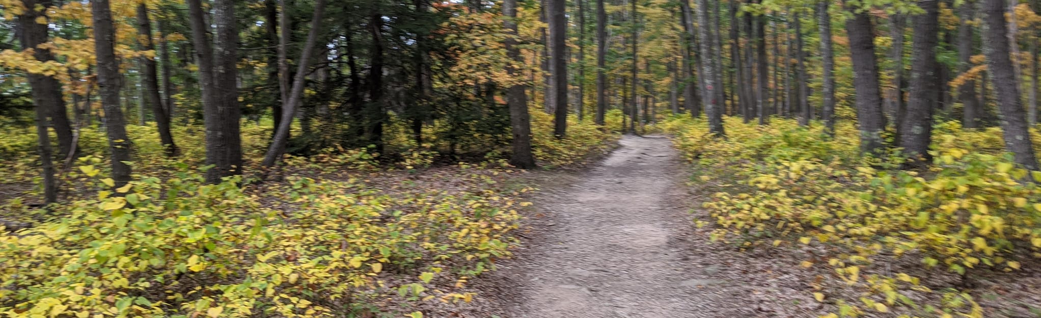 Rhododendron, Jump, The Wall, Clay Run, Ridge, and Rock City Trail: 46 ...