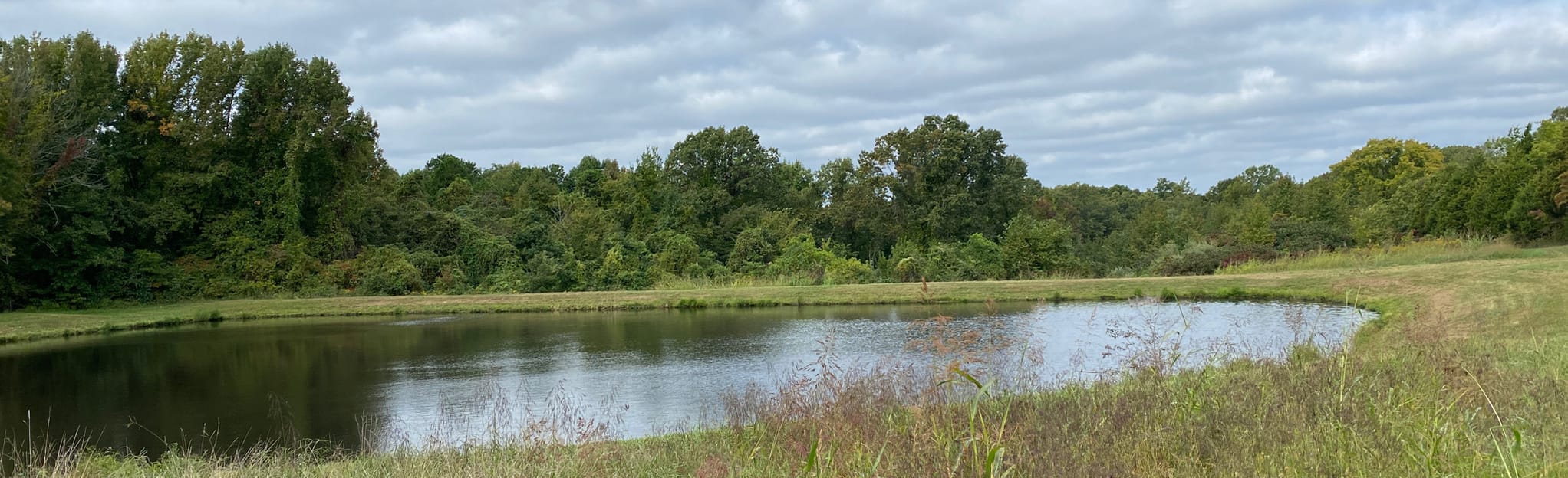 Red Cedar Trail, Illinois - 466 Reviews, Map | AllTrails