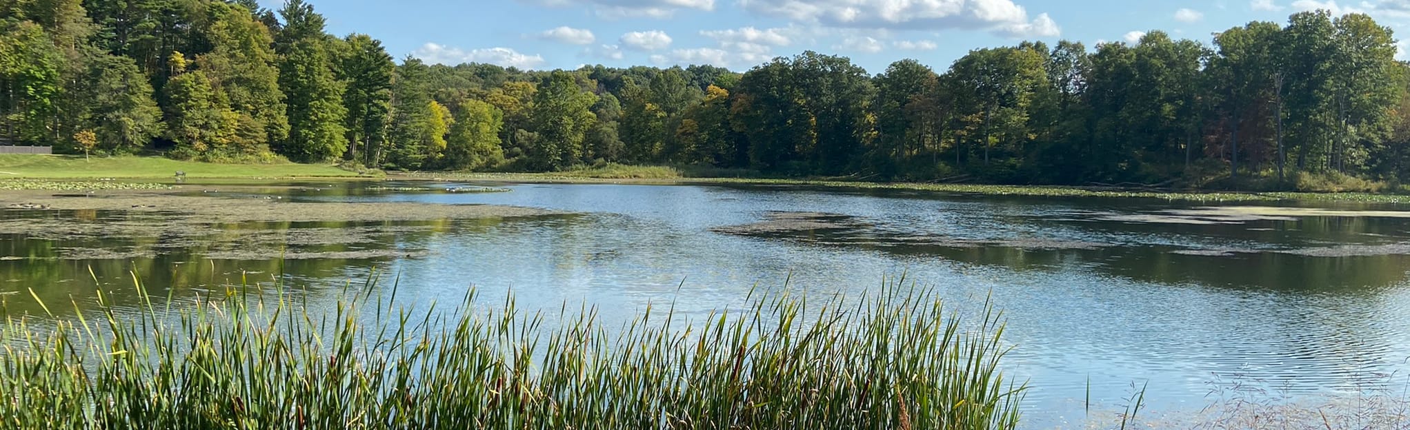 Kendall Lake Loop Trail and Salt Run Trail, Ohio - 1,902 Reviews, Map ...