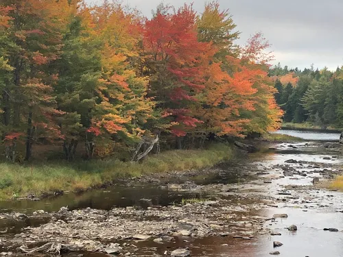 Best Hikes and Trails in Machias | AllTrails