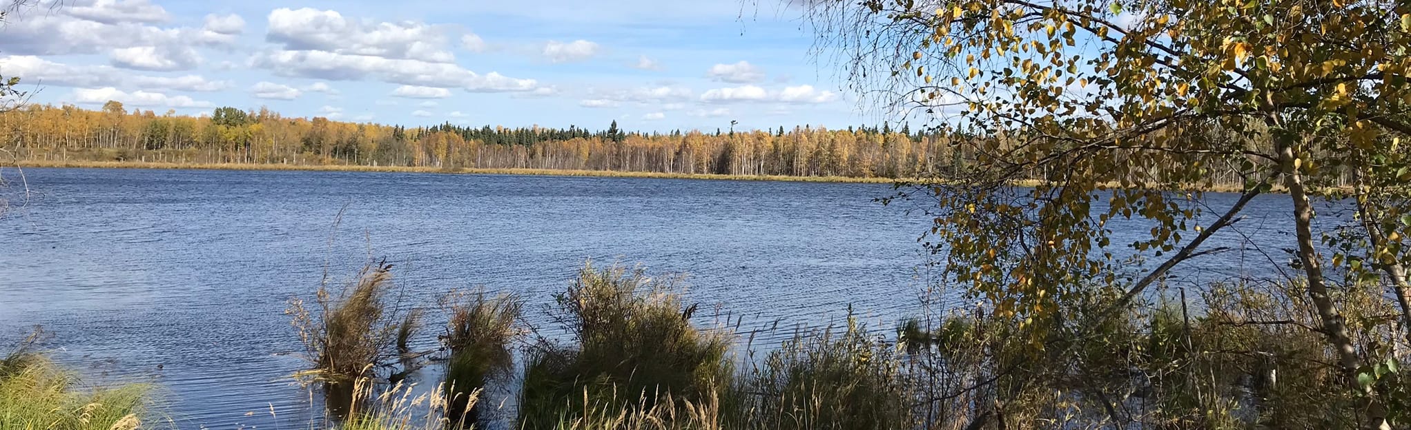 Neon Lake Loop: 127 Reviews, Map - Alberta, Canada | AllTrails