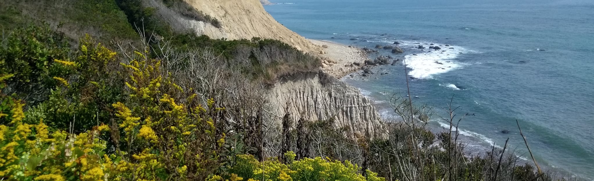 Block Island Greenway Traverse: Payne Rd to Beacon Hill Rd: 99 Reviews ...