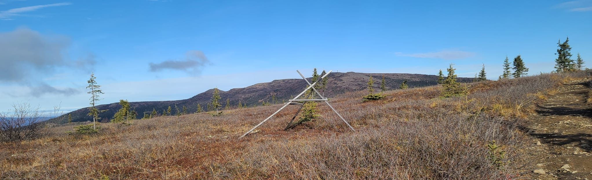 Summit Trail to Wickersham Dome, 162 Photos - Alaska | AllTrails