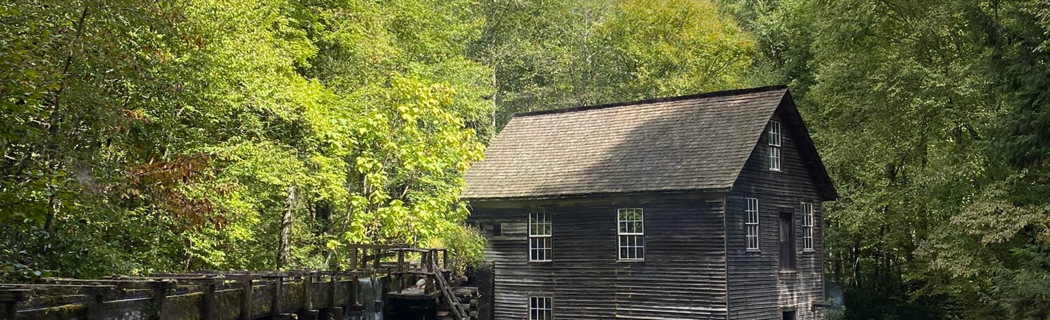Mingus Mill and Newton Bald Trail: 38 Reviews, Map - North Carolina ...