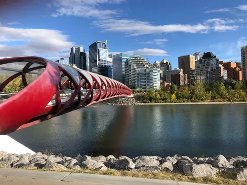 10 Best Trails and Hikes in Calgary | AllTrails