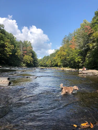 Best Hikes and Trails in Neversink River Unique Area | AllTrails