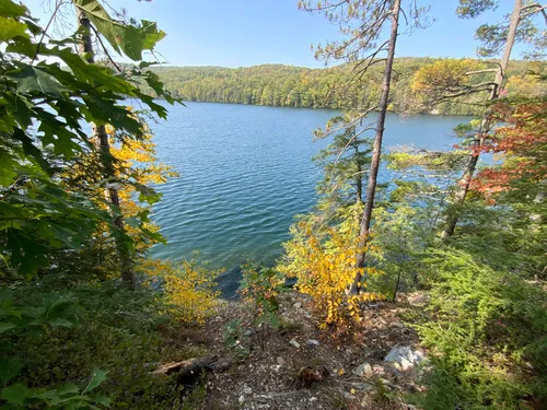 Best Hikes and Trails in Bomoseen State Park | AllTrails