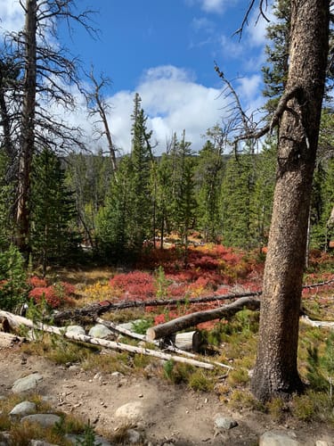 Best 10 Hikes and Trails in Shoshone National Forest | AllTrails