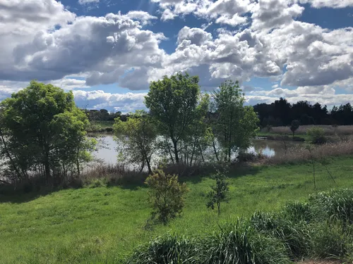 Best Hikes and Trails in Jerrabomberra Wetlands Nature Reserve | AllTrails