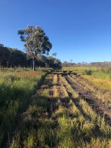 Best Hikes and Trails in Lake Innes Nature Reserve | AllTrails