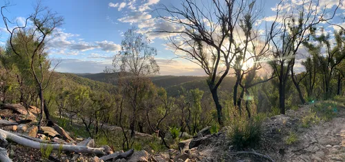 10 Best Hikes and Trails in Dharug National Park | AllTrails