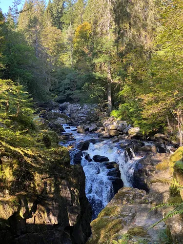 10 Best Trails, Walks, and Paths in Dunkeld | AllTrails