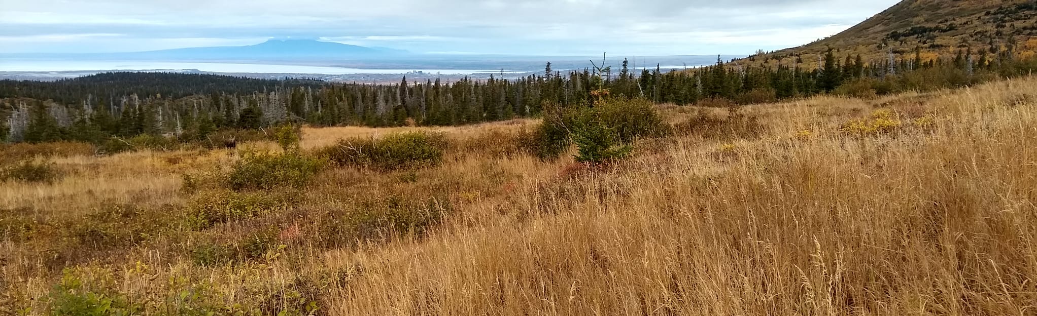 O'Malley Peak, Williwaw Lakes and Middle Fork Trail: 173 Reviews, Map ...