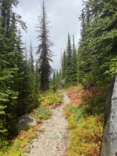 10 Best Hikes and Trails in Selway-Bitterroot Wilderness | AllTrails
