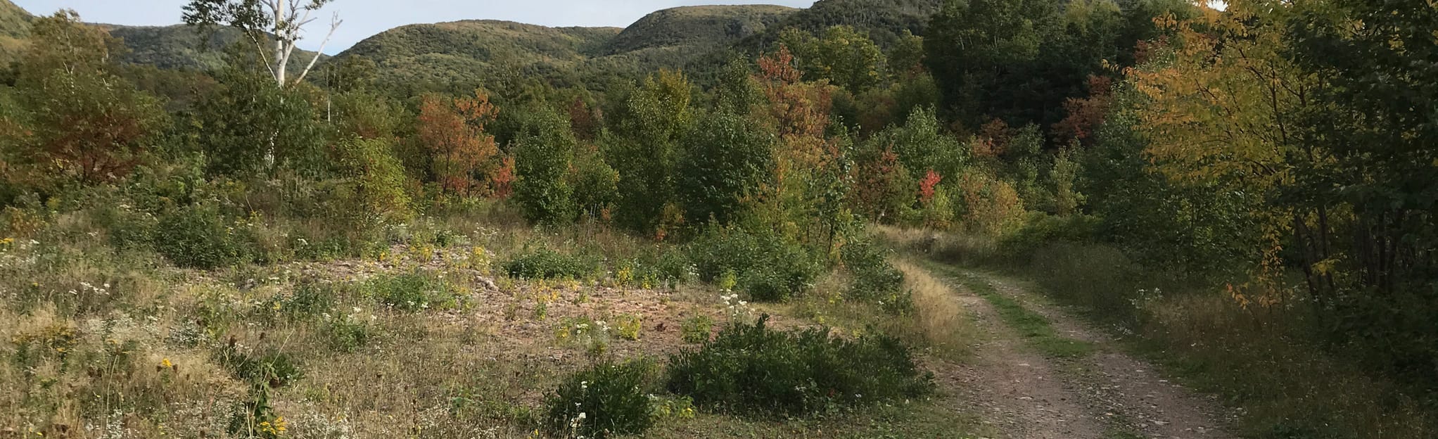 Farm Brook Fall, Nova Scotia, Canada - 13 Reviews, Map | AllTrails
