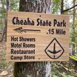 Pinhoti Trail: Adam's Gap to Cheaha State Park, Alabama - 133 Reviews ...