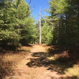 Freetown Fall River State Forest Loop, Massachusetts - 308 Reviews, Map ...