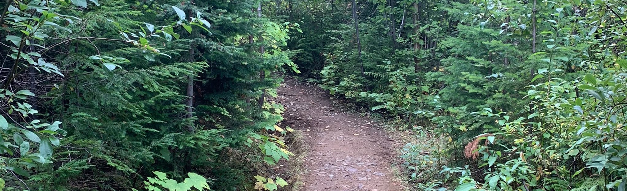 Rossland Heritage Walking Tour, British Columbia, Canada - Map, Guide ...