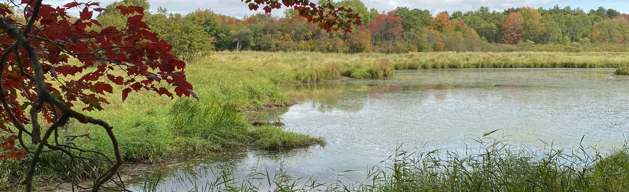 Kentville Bird Sanctuary, Nova Scotia, Canada - 123 Reviews, Map ...