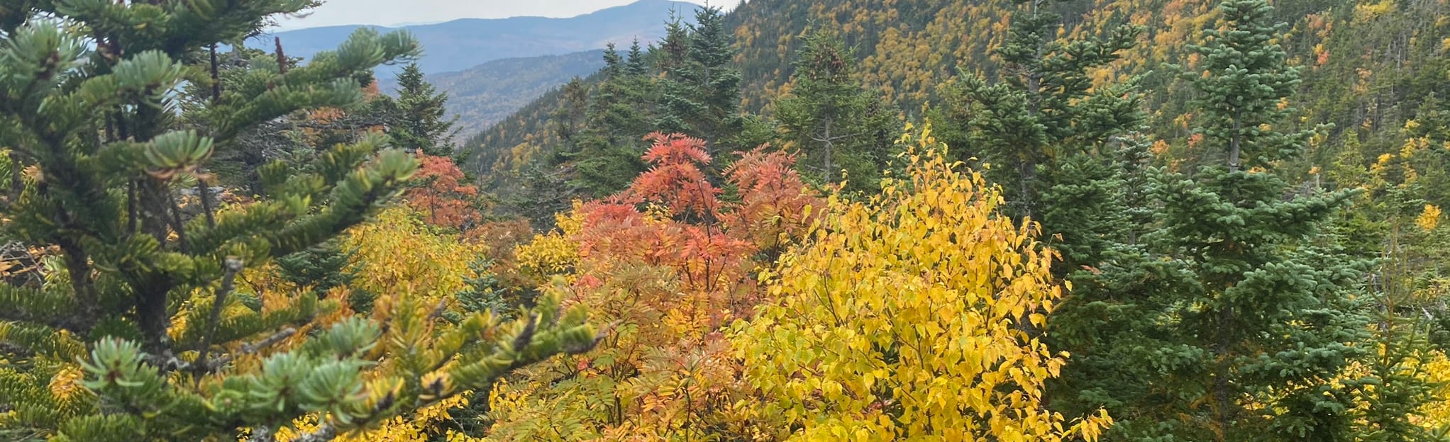 Imp Mountain via Stony Brook Trail: 52 Reviews, Map - New Hampshire ...