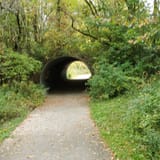 Clio Park Trail, Michigan - 131 Reviews, Map | AllTrails