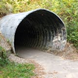 Clio Park Trail, Michigan - 131 Reviews, Map | AllTrails