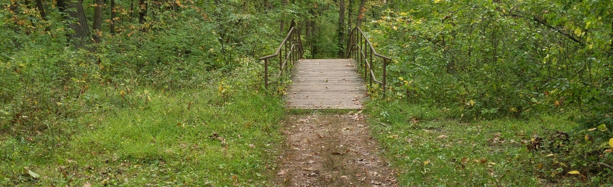 Scott County Park Nature Trail: 207 Reviews, Map - Iowa | AllTrails