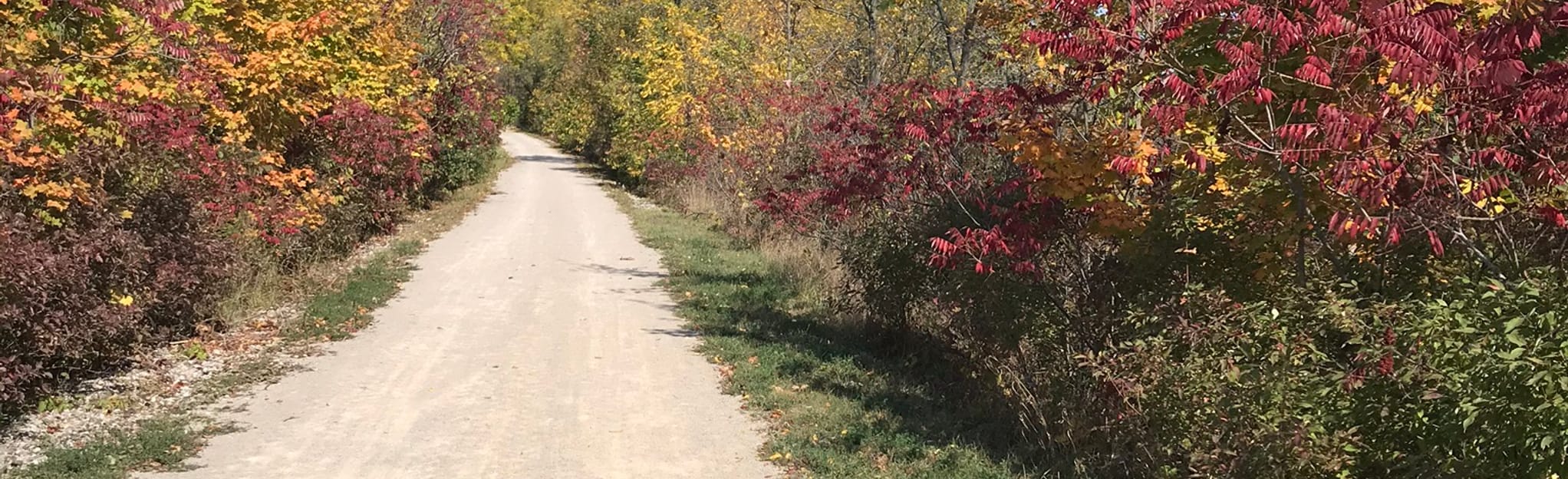 Chippewa Trail: Northbound | Map, Guide - Ontario, Canada | AllTrails