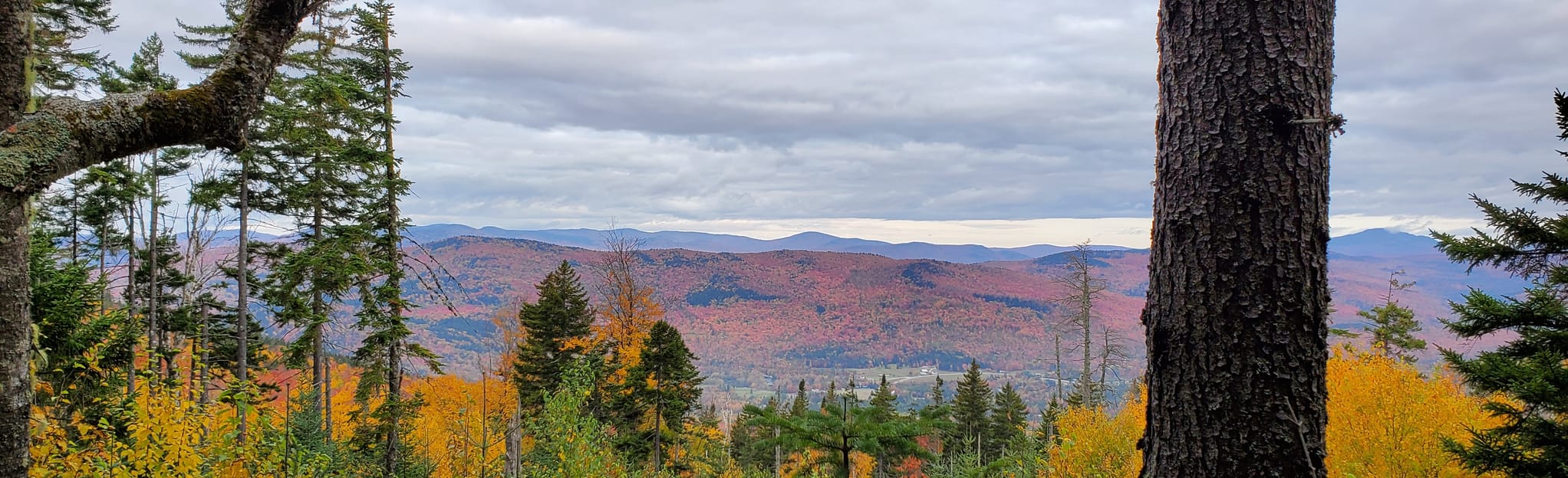 Aziscohos North Trail, Maine - 132 Reviews, Map | AllTrails