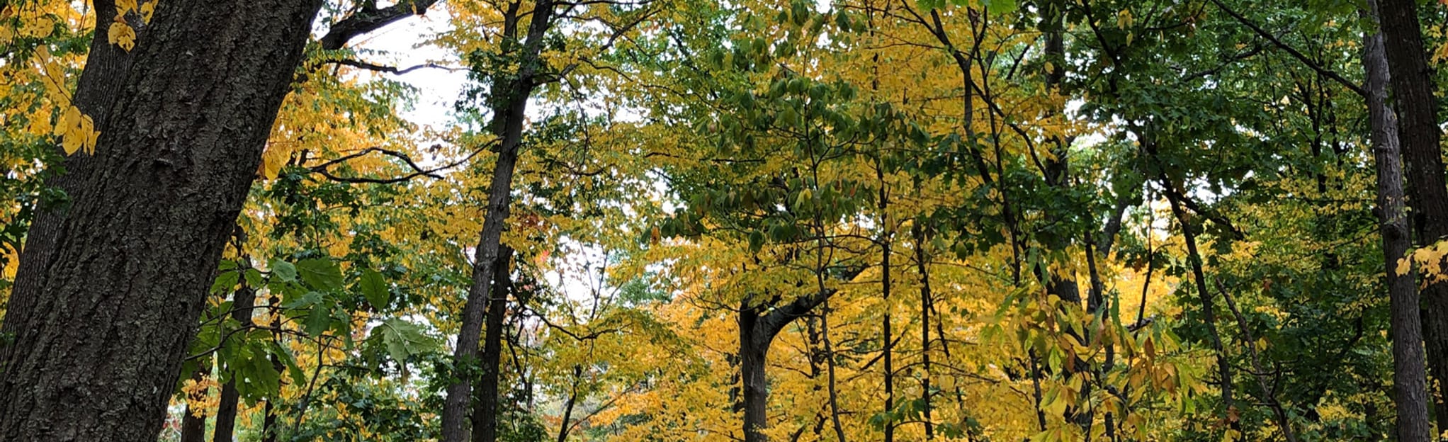 Hammond Pond and Webster West: 139 Reviews, Map - Massachusetts | AllTrails