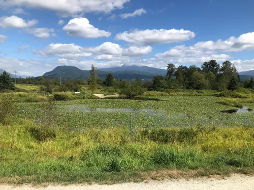 10 Best Trails and Hikes in Pitt Meadows | AllTrails