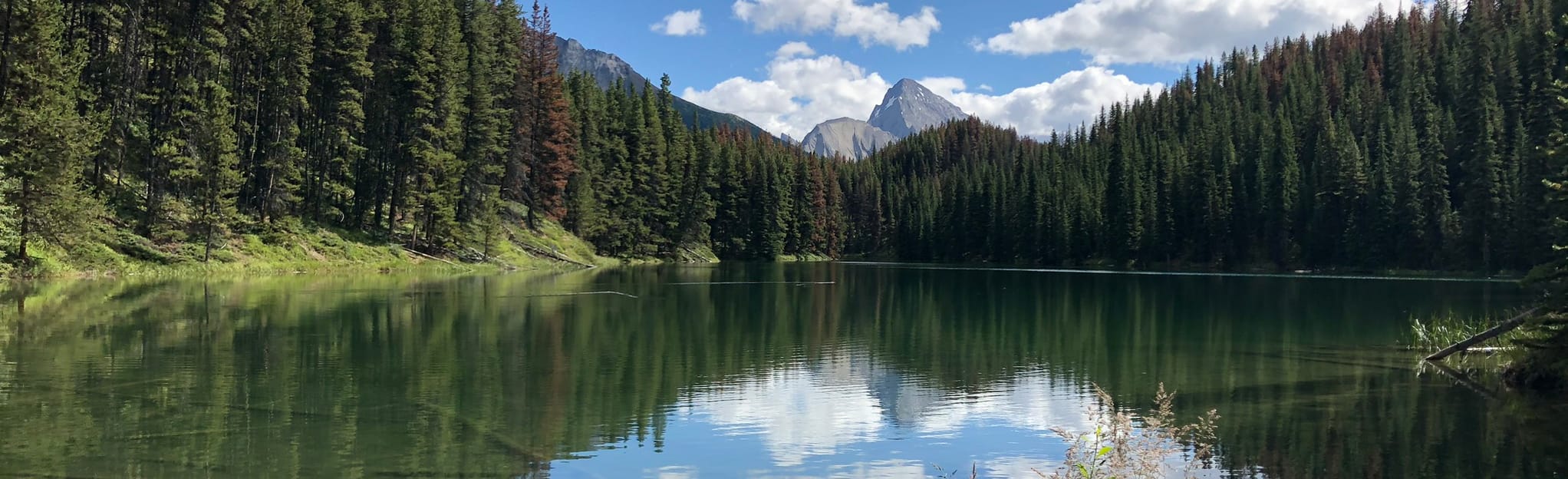 Moose Lake Loop, Alberta, Canada - 408 Reviews, Map | AllTrails