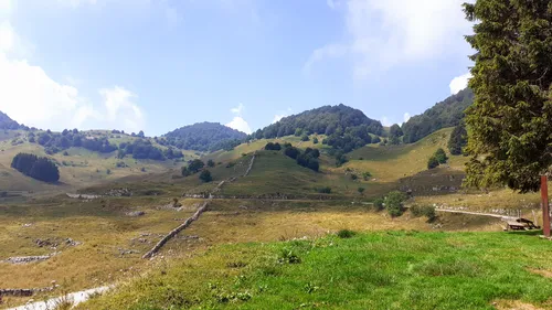 Best Forest Trails in Valli del Pasubio | AllTrails