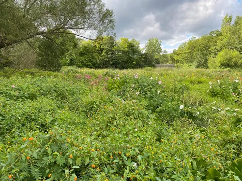 Best Hikes and Trails in Shaker Lakes Park | AllTrails