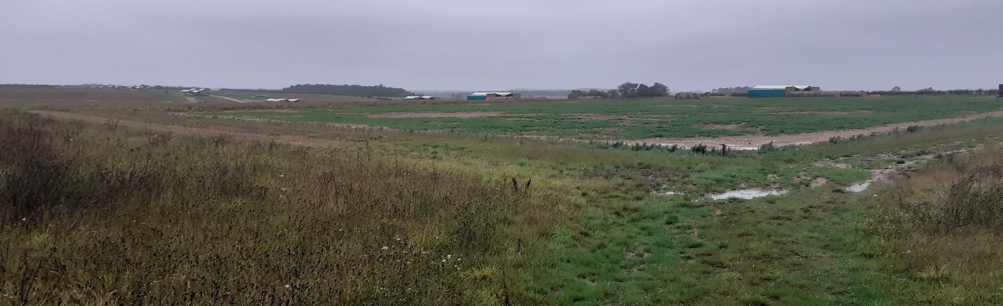 Great Bircham Circular, Norfolk, England - 15 Reviews, Map | AllTrails