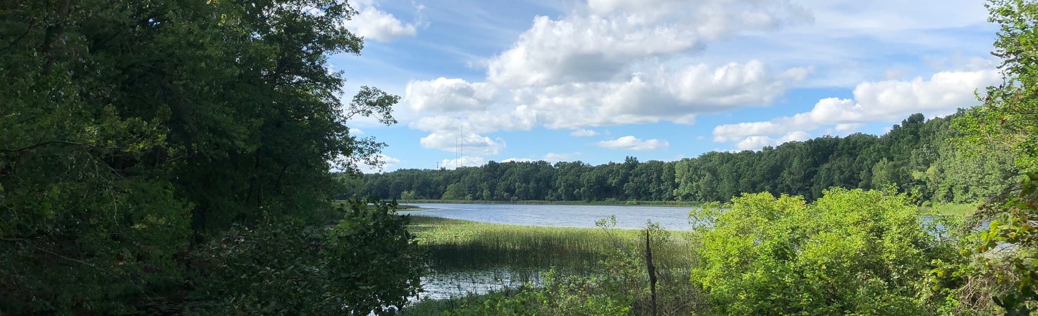 Asylum Lake Trail: 683 Reviews, Map - Michigan | AllTrails