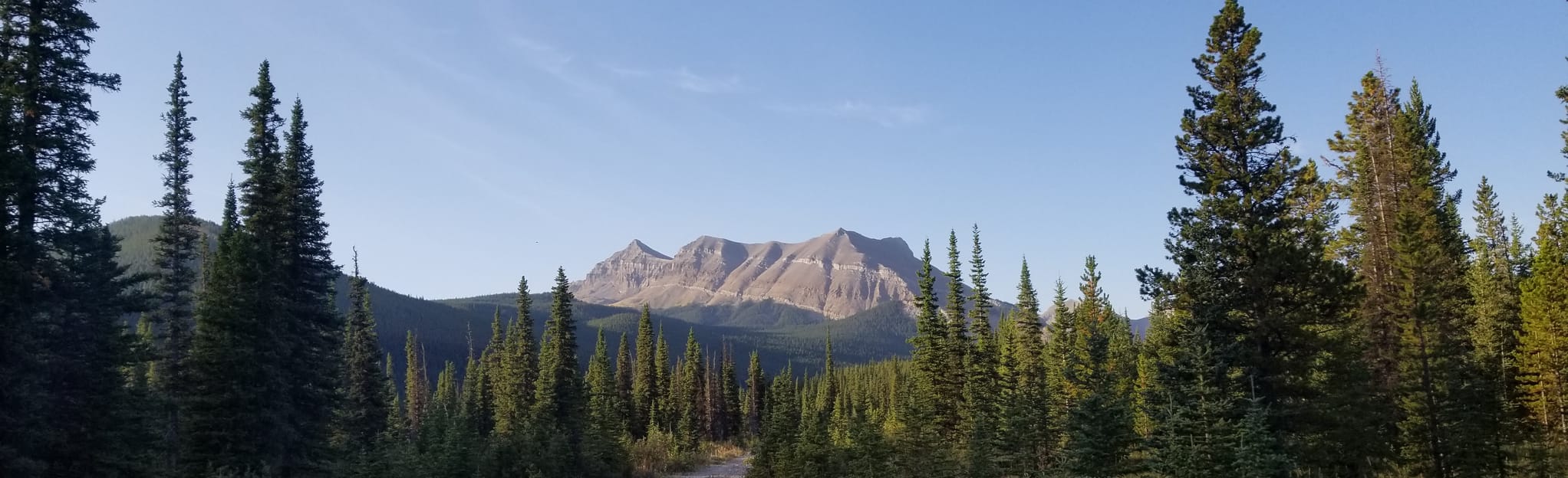 Big Elbow Trail, Alberta, Canada - 194 Reviews, Map | AllTrails