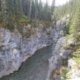 Big Elbow Trail, Alberta, Canada - 189 Reviews, Map | AllTrails