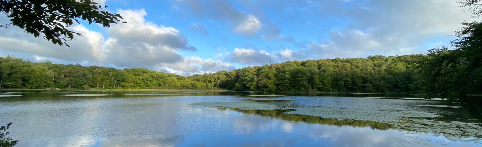 Lulu Cascade to Berry Pond Loop, Massachusetts - 138 Reviews, Map ...