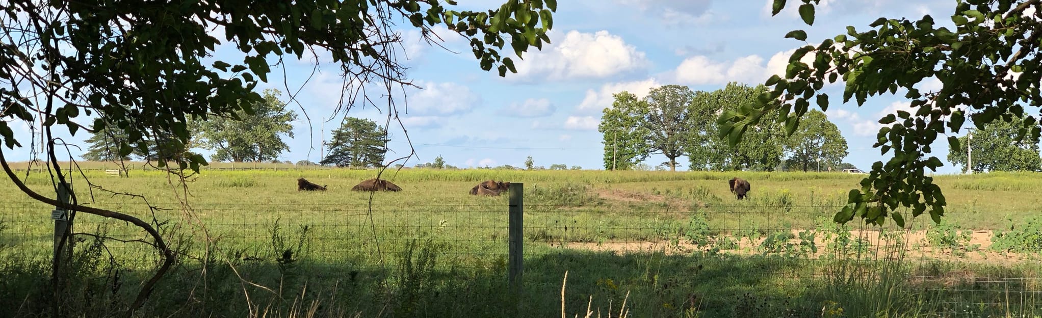 Darby Creek Greenway Trail: Battelle Darby Creek Metro Park Section ...