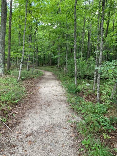 Best 10 Hikes and Trails in Peninsula State Park | AllTrails