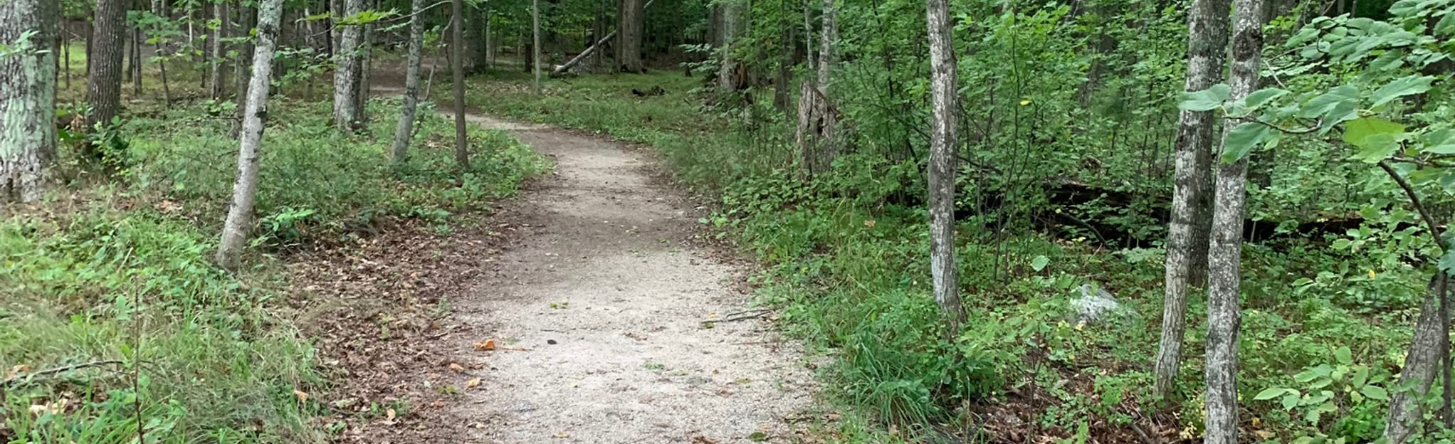 Sentinel Trail to Lone Pine Trail Loop: 161 Reviews, Map - Wisconsin ...