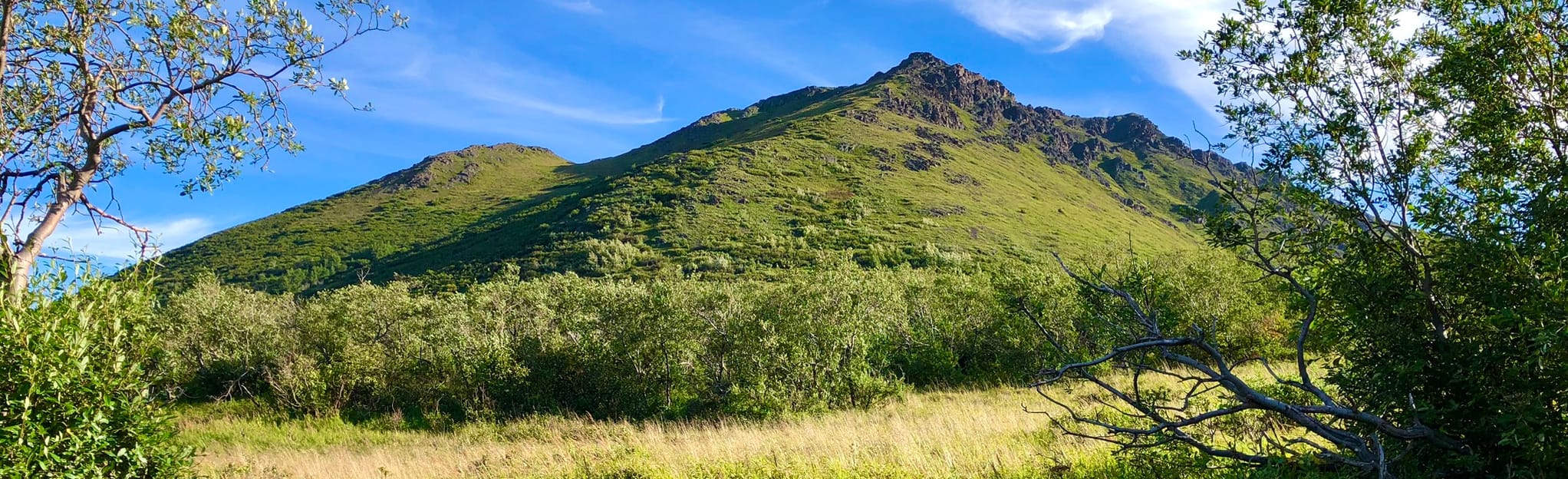 Williwaw Lakes Trail: 164 Reviews, Map - Alaska | AllTrails